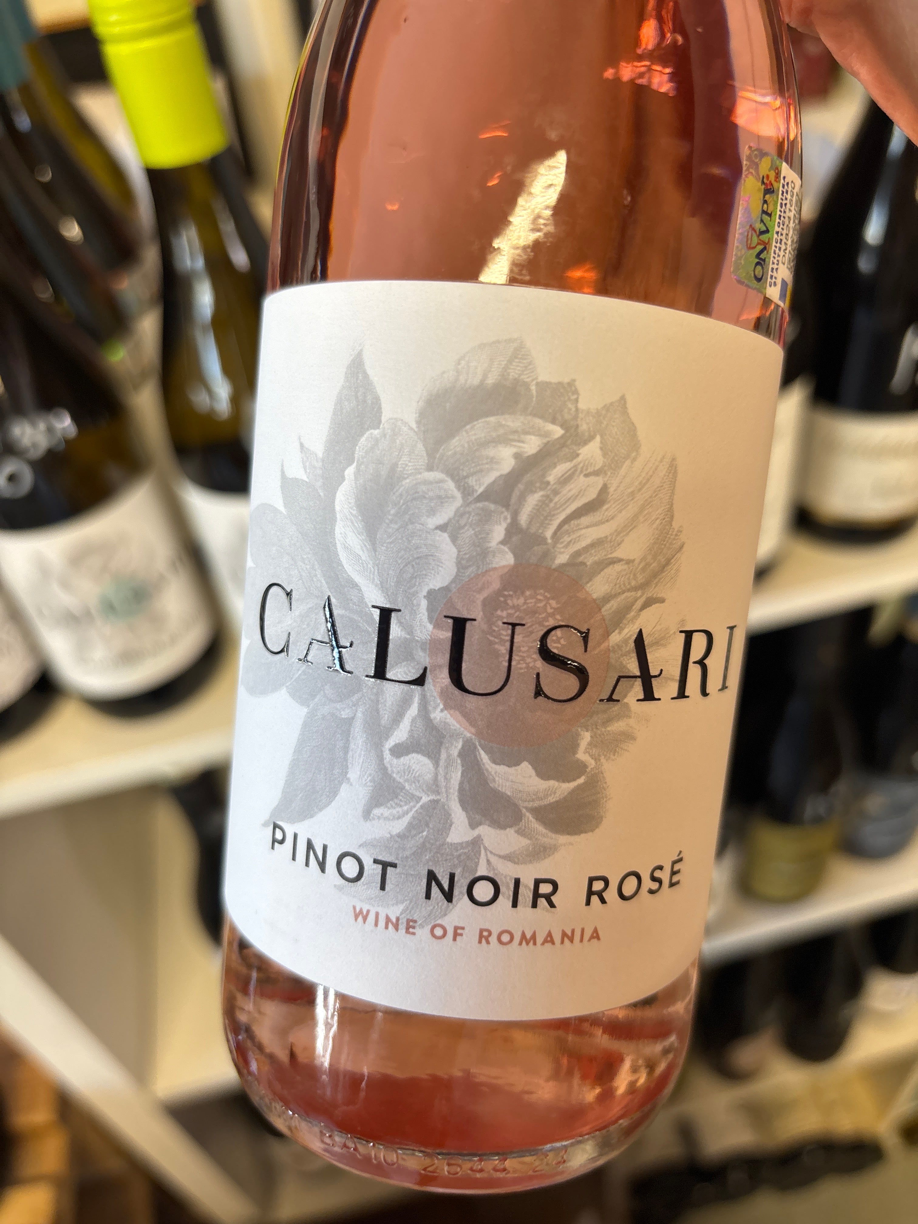 Rosé Calusari - Wijn aan Zee – Wijn aan zee